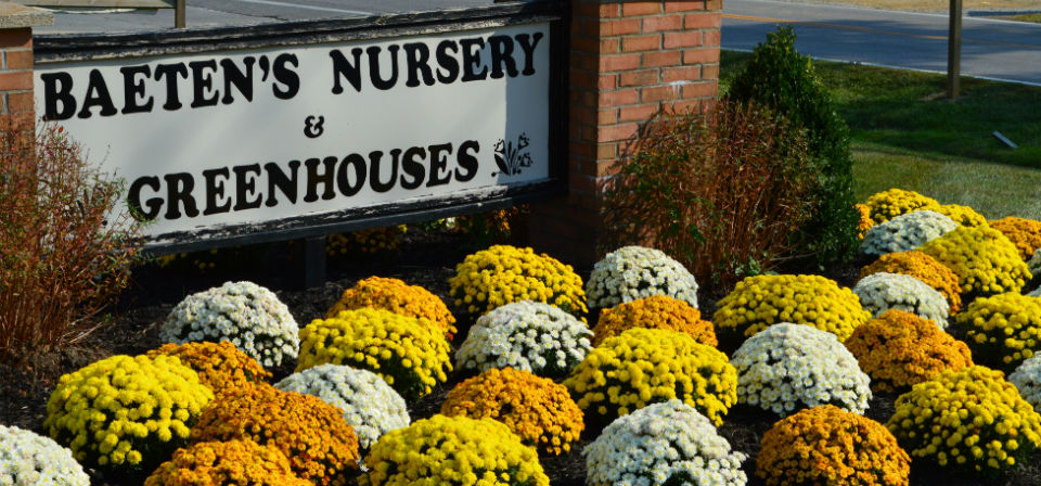 Baetens Nursery Greenhouse